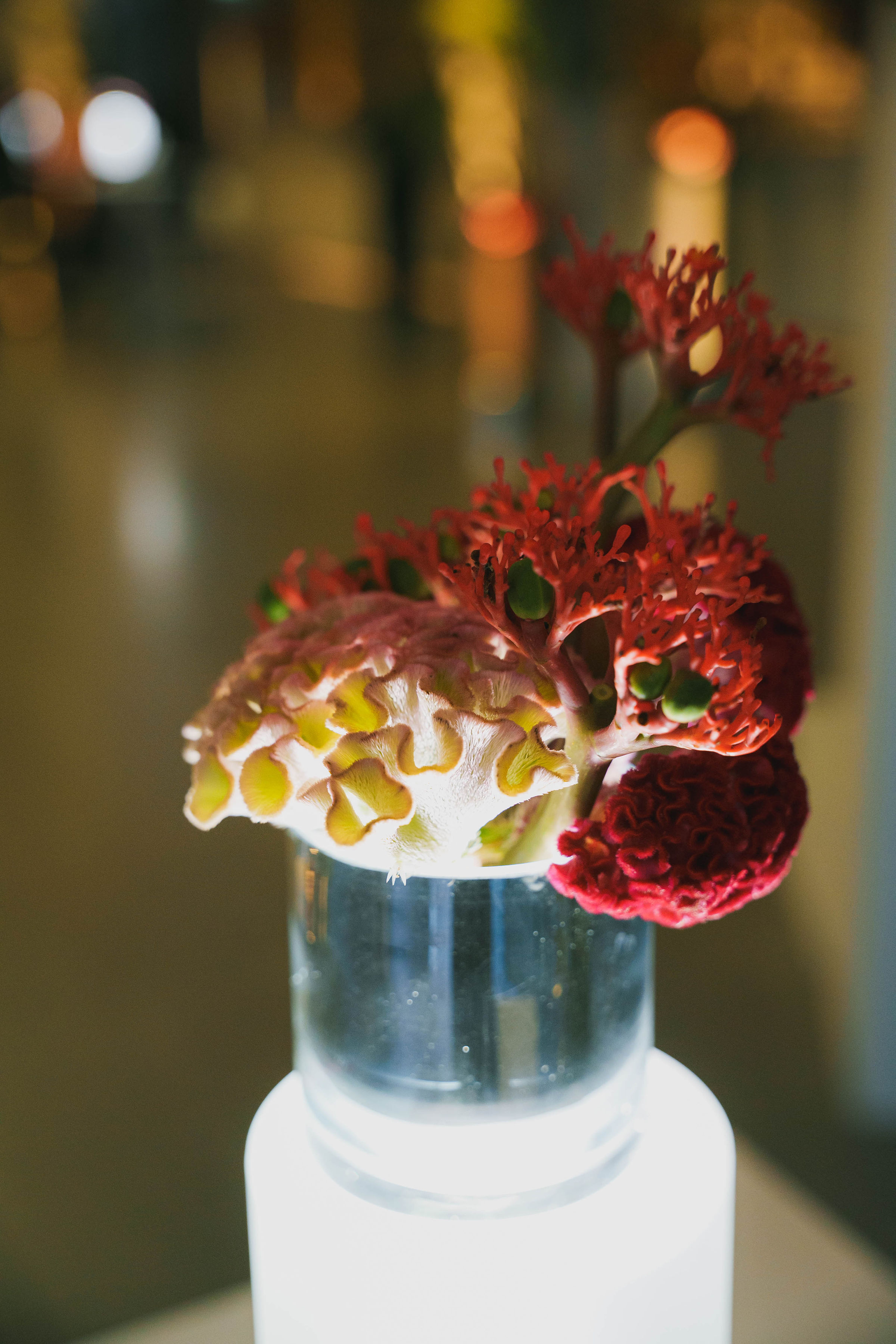 The Magazine | Venue Hire | Canvas Events